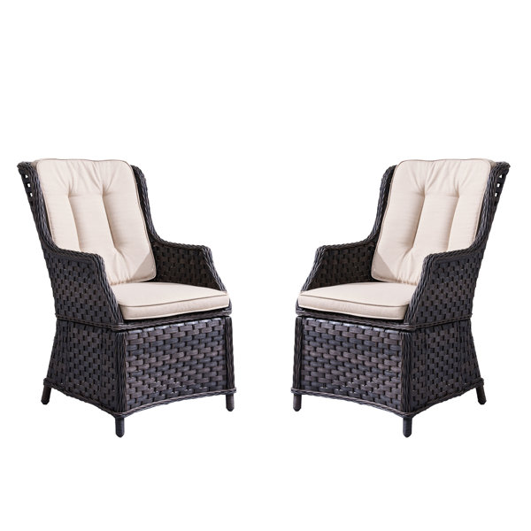 Rosecliff Heights Ailbhe 2pcs Outdoor Aluminum Wicker Chair With Beige Cushions - Brown ...